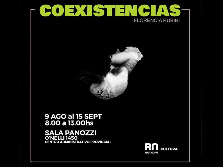 Bariloche: la sala Panozzi inaugura una nueva exposición | Diario Ene ...